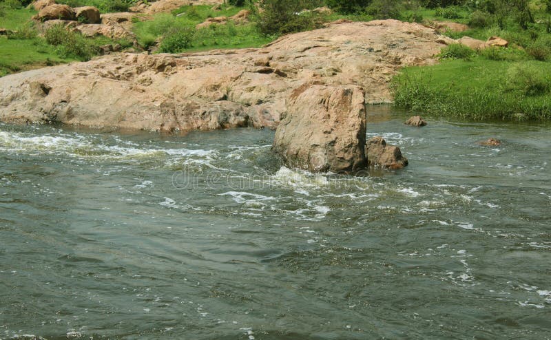 A Forest Small River with Rocks and Trees. Stock Image - Image of ...