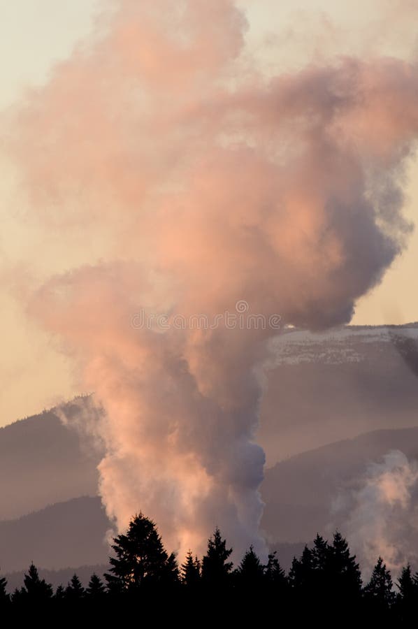 Forest Smoke stock photo. Image of industrial, smoke, light - 4813788