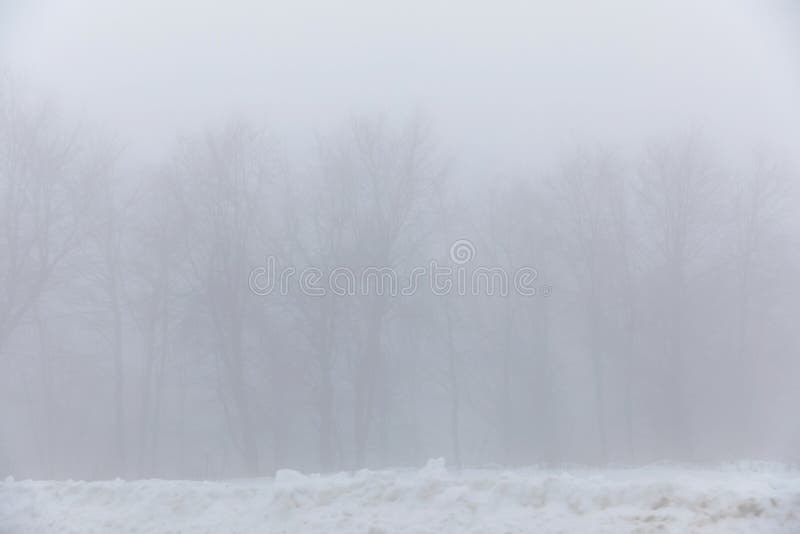Forest with snow and mist stock image. Image of magnisia - 210732697