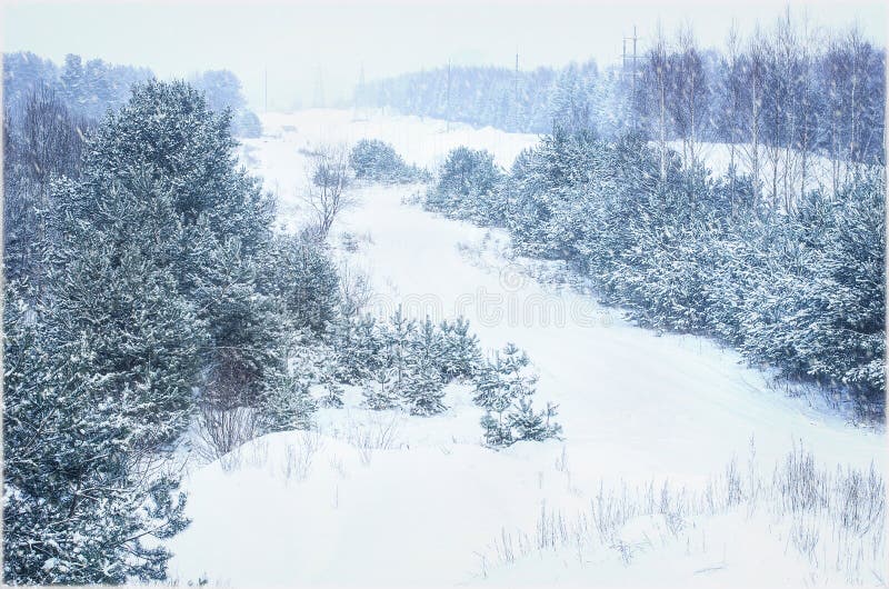 Forest and snowy hillside stock image. Image of natural - 35679053