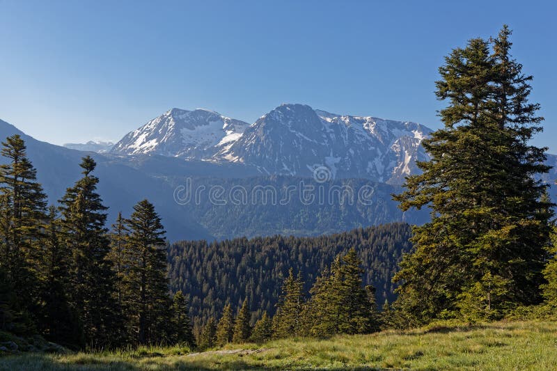 Forest and Snowy Summit of Taillefer Mountain Range Stock Photo - Image ...