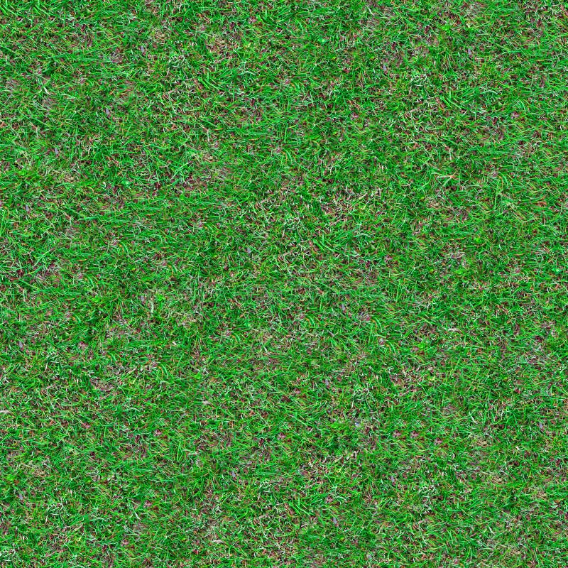 Forest Soil. Seamless Texture. Stock Photo - Image of green, lush: 30280320