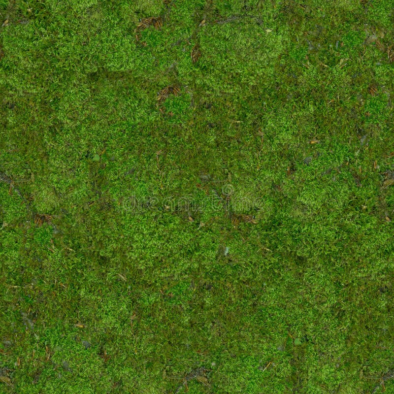 950 Underfoot Background Stock Photos - Free & Royalty-Free Stock ...