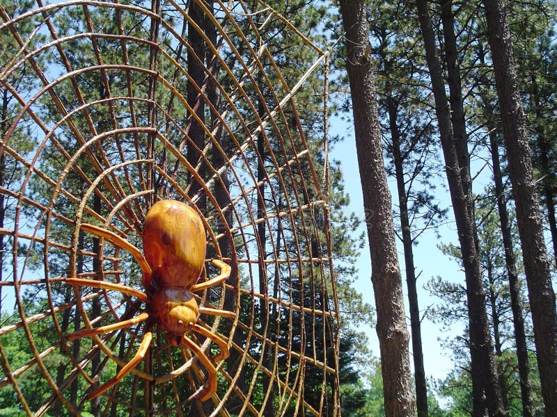 Forest Spider stock photo. Image of woods, trees, scary - 166118