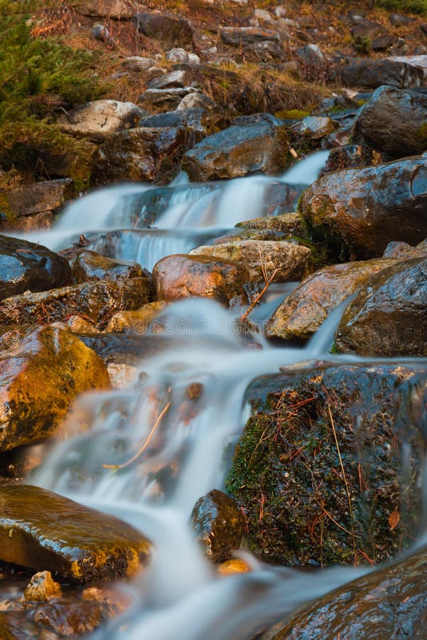 Cascading spring water stock photo. Image of natural - 31273938