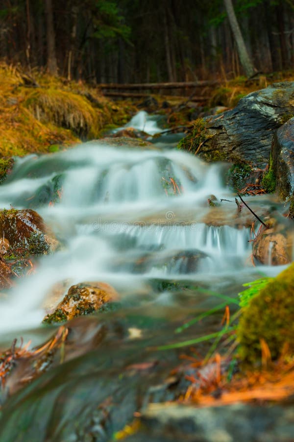 Cascading spring water stock photo. Image of natural - 31273938