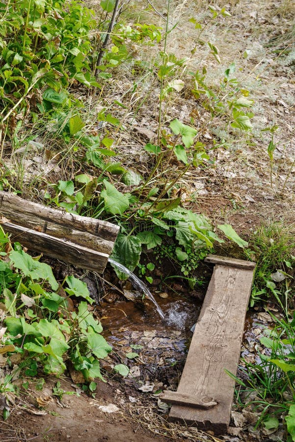 Forest Spring on the Hillside Stock Photo - Image of freshness ...