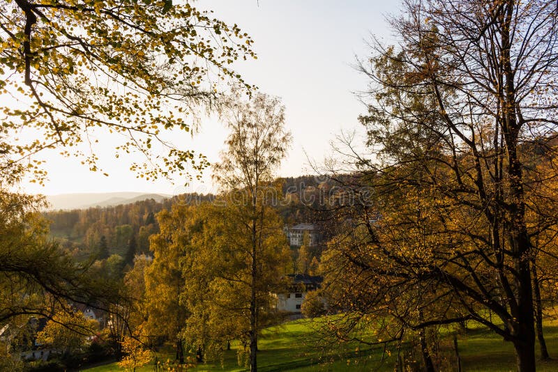Forest Spring Nature Landscape in Sunny Spring Weather. Sunset in ...