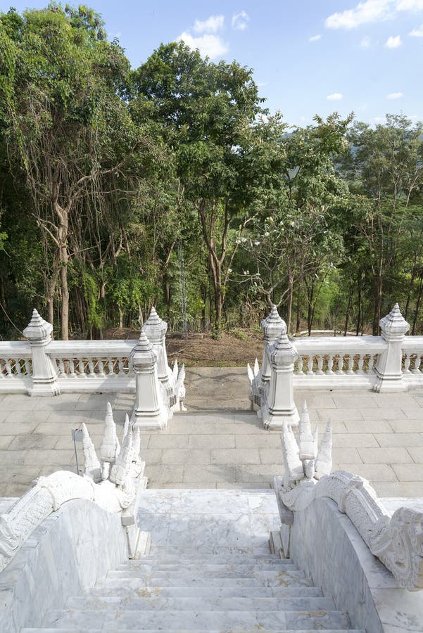 Forest and stage. stock photo. Image of travel, stairs - 84429452