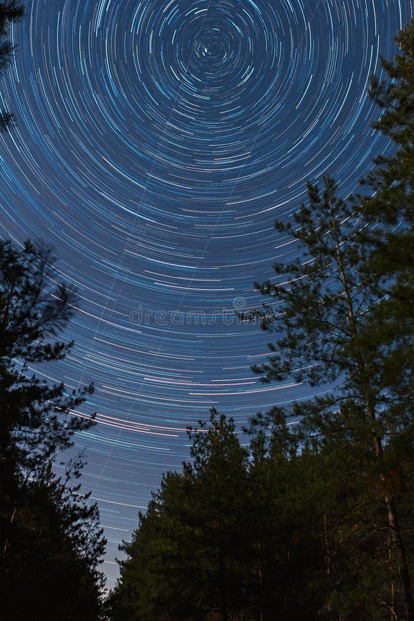Forest on Starry Sky Background Stock Photo - Image of planet, darkly ...