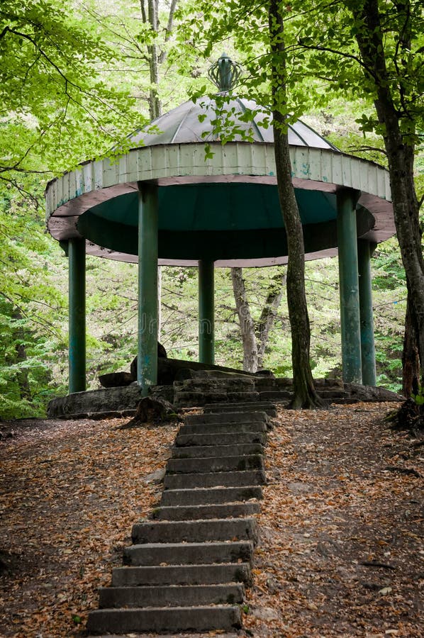 Arbor in the forest stock photo. Image of green, blue - 137776356