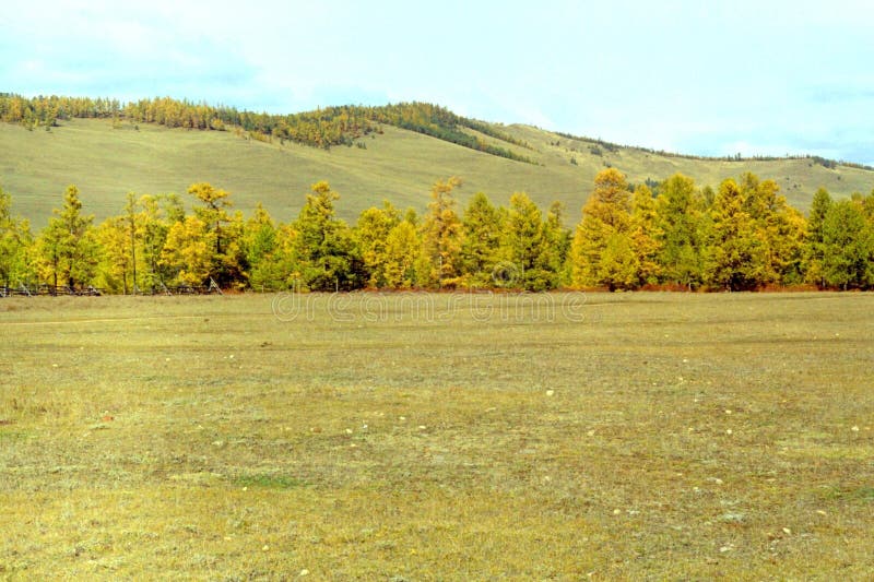 The Forest-steppe Royalty Free Stock Images - Image: 3883609