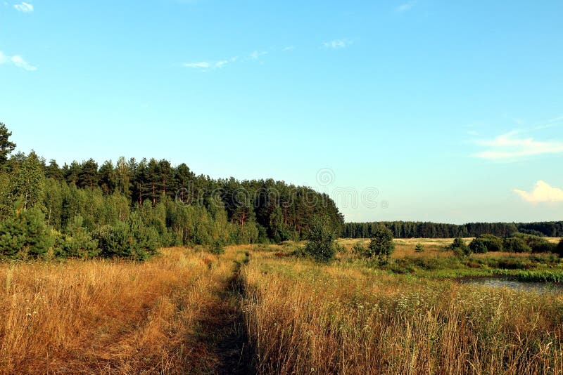 Forest Steppe of Byelorussia Stock Photo - Image of field, contrast ...