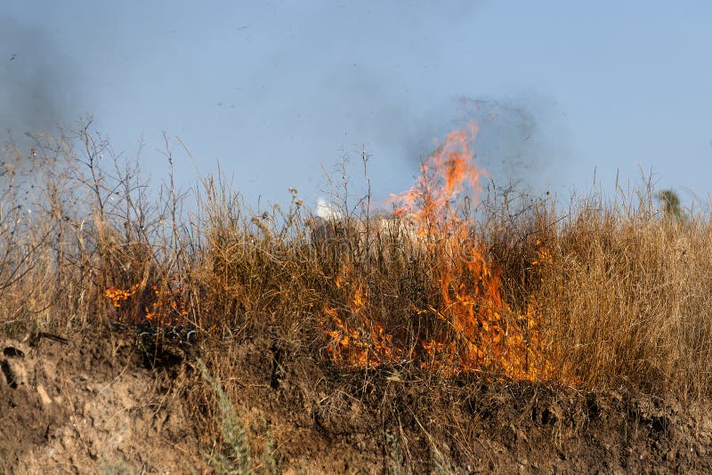 Forest and Steppe Fires Dry Completely Destroy the Fields and Steppes ...