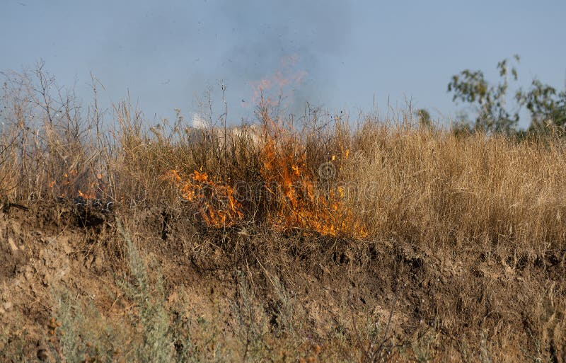 Forest and Steppe Fires Dry Completely Destroy the Fields and Steppes ...