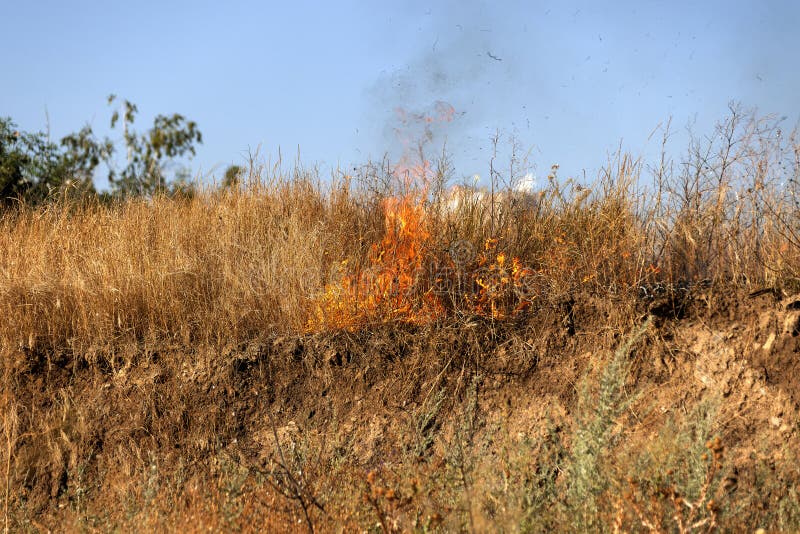 Forest and Steppe Fires Dry Completely Destroy the Fields and Steppes ...
