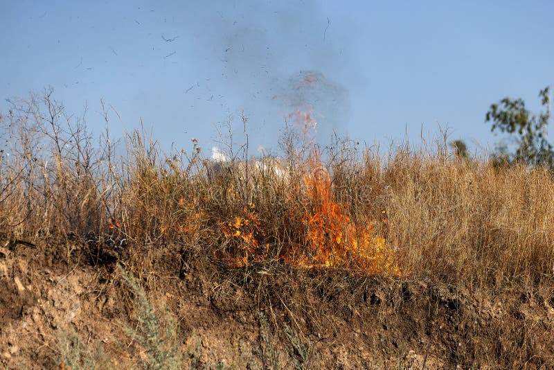 Forest and Steppe Fires Dry Completely Destroy the Fields and Steppes ...
