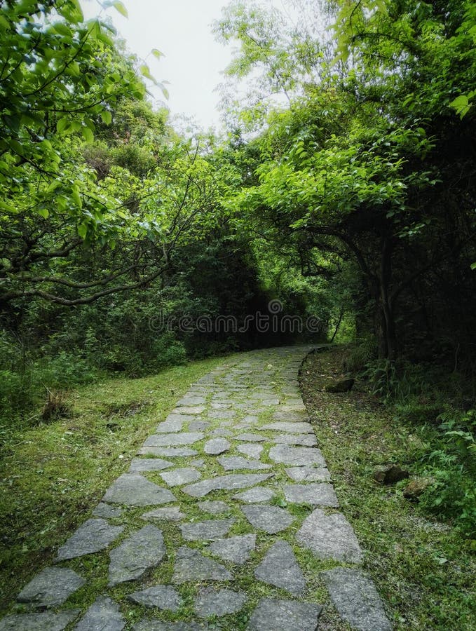 Forest Stone Stairs in New Taipei City, Taiwan. Stock Image - Image of ...
