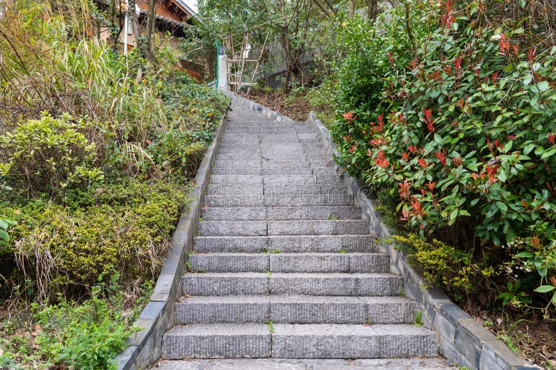 Stone stairs in spring stock photo. Image of park, stairs - 311642772