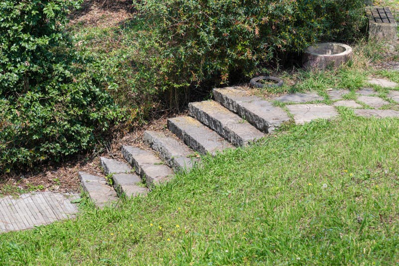 Stone stairs in spring stock photo. Image of forest - 311783118