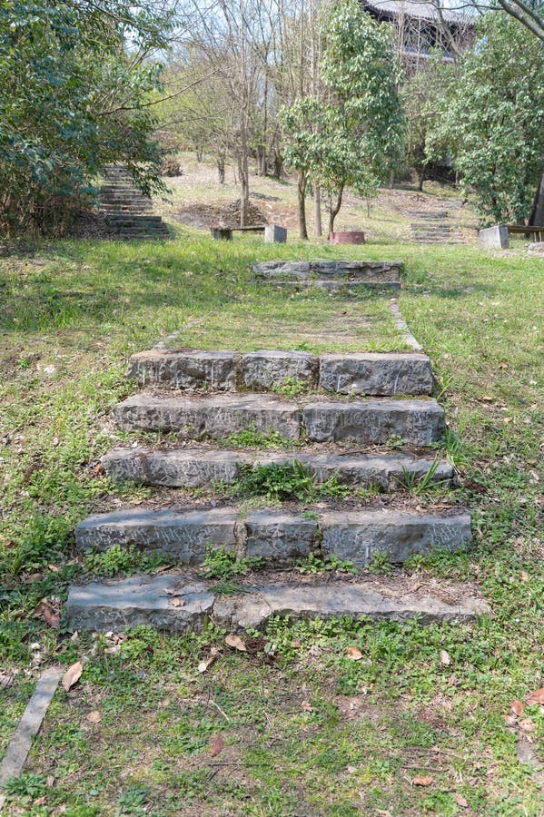 Stone stairs in spring stock photo. Image of forest - 311784090