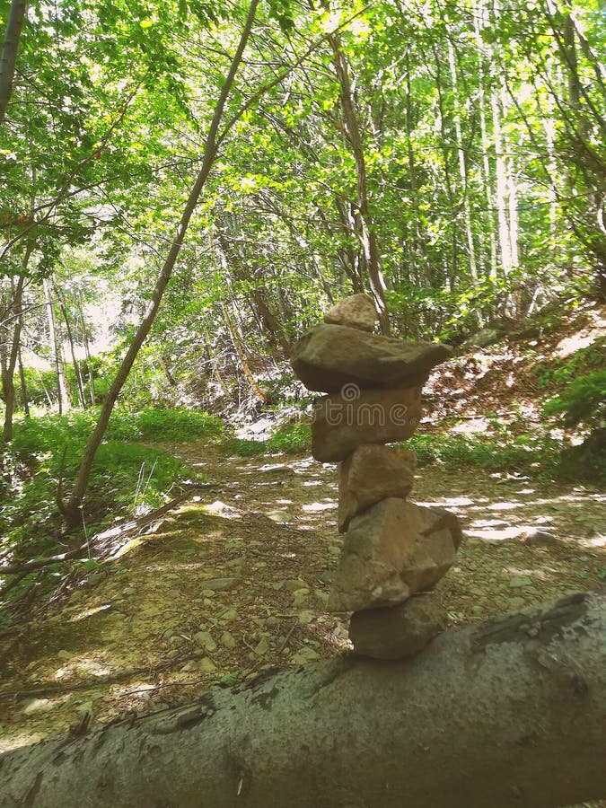 Forest stones stock photo. Image of trees, stones, building - 95391370