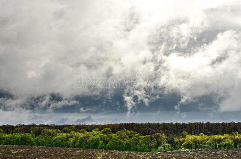 A forest after a storm stock image. Image of clouds, wild - 45020963