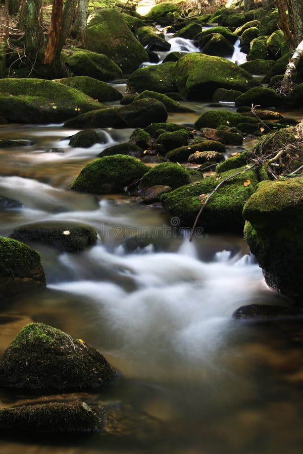 Forest stream stock photo. Image of cascade, speed, blur - 1365606