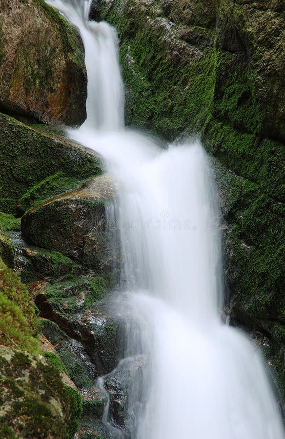 Forest Stream stock photo. Image of peace, motion, natural - 23364132