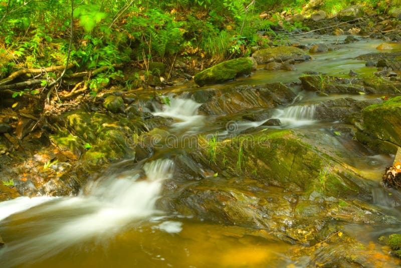 Forest Stream in Summer, Maine Stock Photo - Image of summer, stream ...