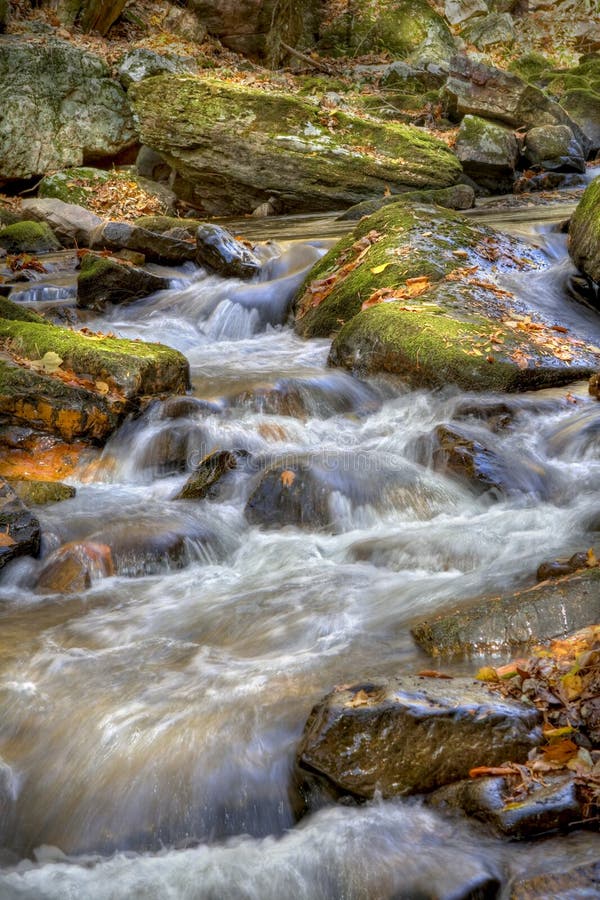 Stream Flowing Woods Free Stock Photos & Pictures, Stream Flowing Woods ...