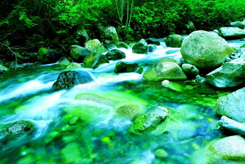Forest Stream stock image. Image of hiking, back, boulders - 78900725