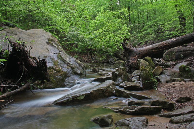 Forest Stream through Boulders Stock Image - Image of exposure ...