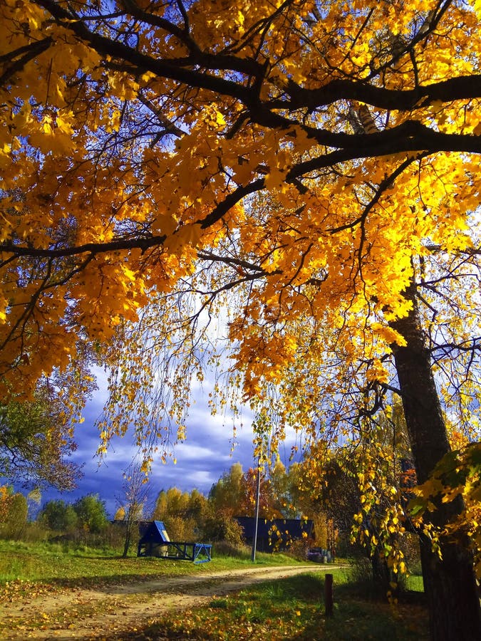 Russian Fall. Road and Forest Stock Photo - Image of black, stream ...