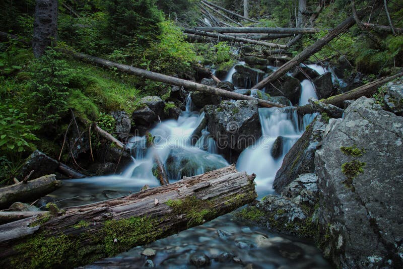Forest Stream Brook stock image. Image of waterfall, stream - 76985093