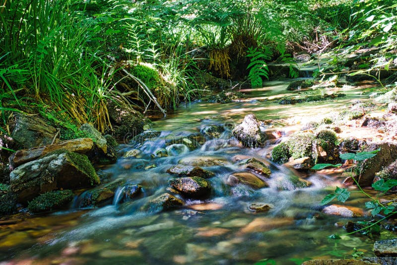 A Forest Stream Captured with a Long Exposure Stock Photo - Image of ...