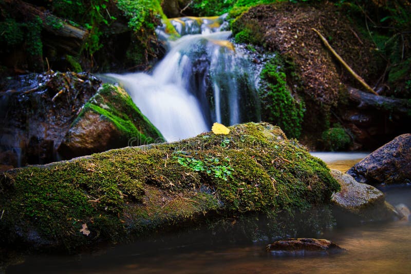 A Forest Stream Captured with a Long Exposure Stock Image - Image of ...