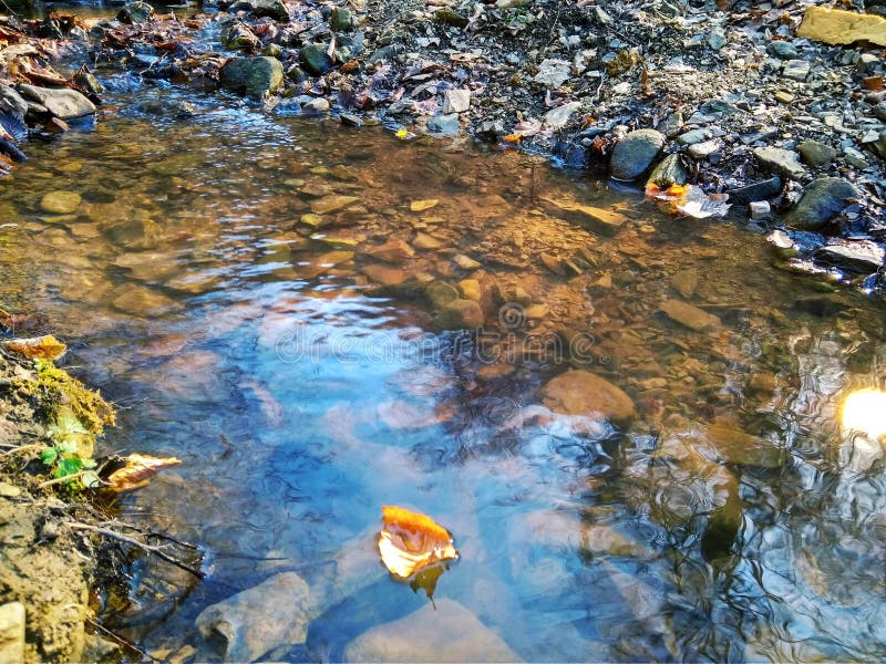 Forest Stream with Clear Water and Reflection in Spring Stock Photo ...