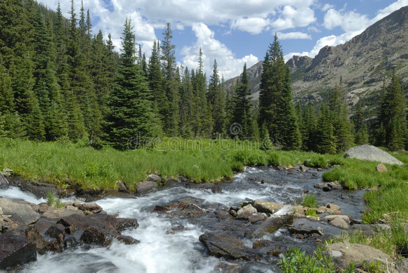Forest Stream in Colorado Rocky Mountains Stock Image - Image of river ...