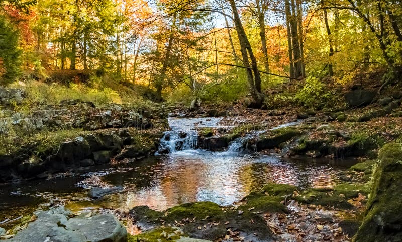 Forest stream in fall stock image. Image of woodland - 82295167