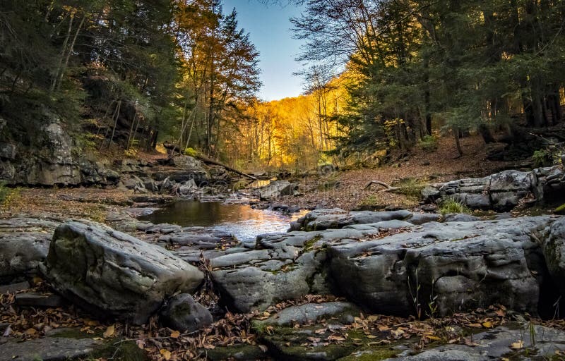 Forest stream in fall stock photo. Image of woods, water - 82296884