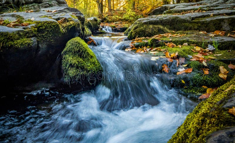 Forest stream in fall stock photo. Image of scenic, autumn - 82297274