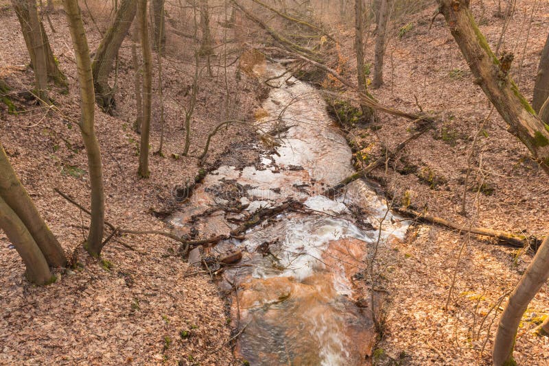A Forest Stream Flowing through a Deep Ravine. Stock Image - Image of ...