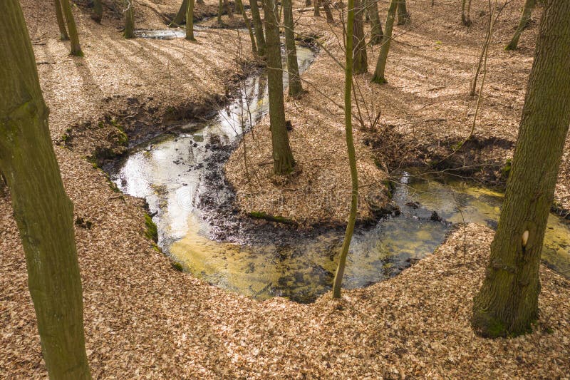 A Forest Stream Flowing through a Deep Ravine. Stock Image - Image of ...