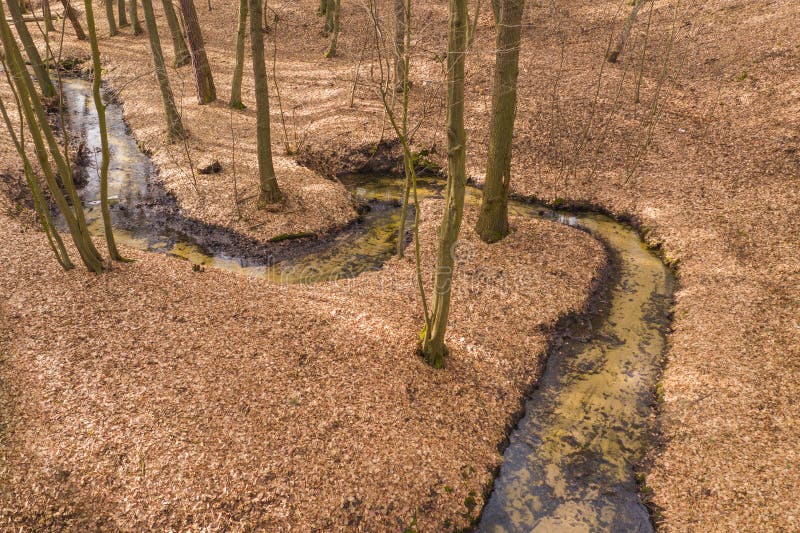 A Forest Stream Flowing through a Deep Ravine. Stock Photo - Image of ...
