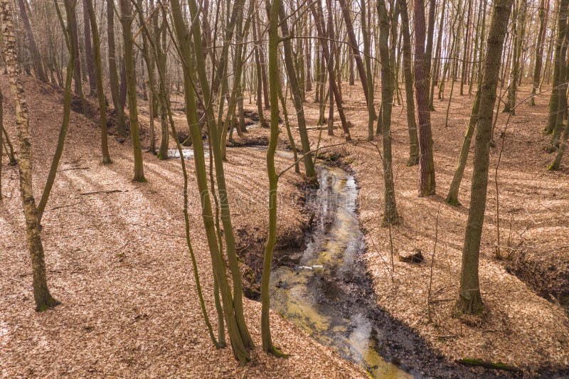 A Forest Stream Flowing through a Deep Ravine. Stock Image - Image of ...