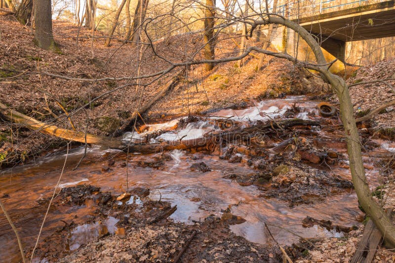 A Forest Stream Flowing through a Deep Ravine. Stock Photo - Image of ...