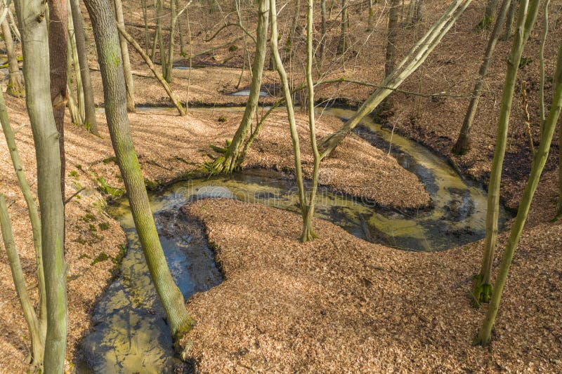 A Forest Stream Flowing through a Deep Ravine. Stock Photo - Image of ...