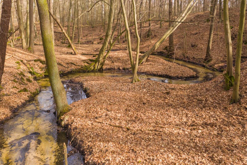 A Forest Stream Flowing through a Deep Ravine. Stock Image - Image of ...