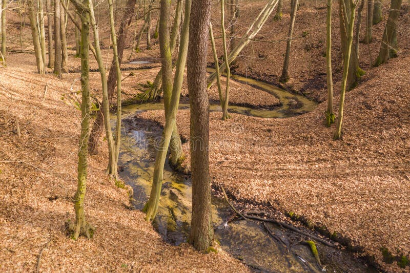 A Forest Stream Flowing through a Deep Ravine. Stock Image - Image of ...